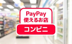 【ジャンル別】paypayが使える店の一覧！ポイントをお得に貯める裏技も紹介！